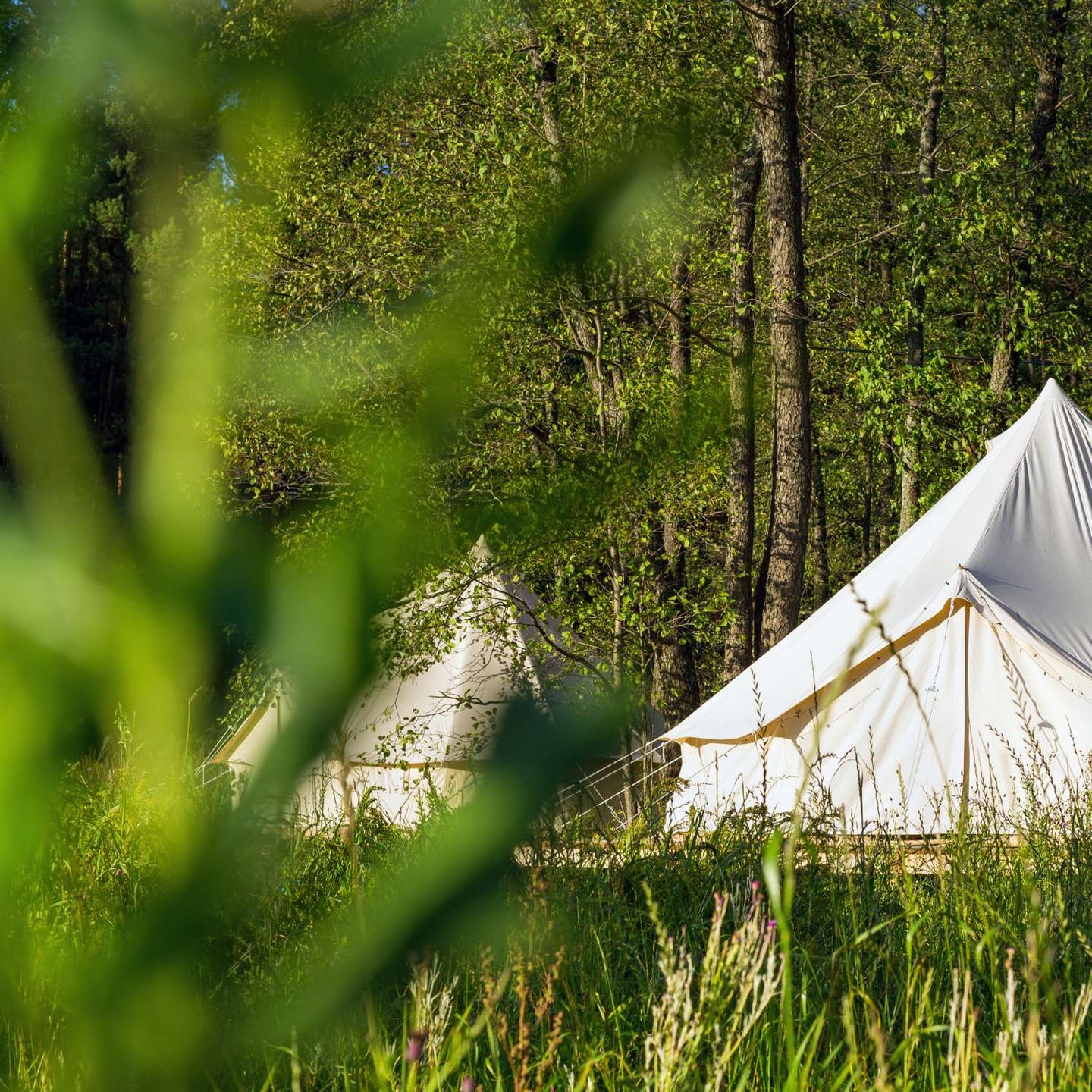 Are Bell Tents OK in the Rain? – Boho Bell Tent